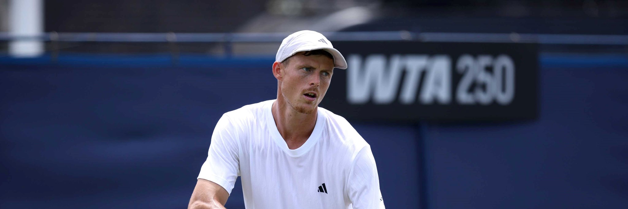 Billy Harris | Player stats, ranking, bio & news | LTA